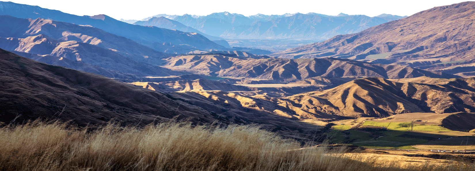 The Cardrona – Cardrona Distillery