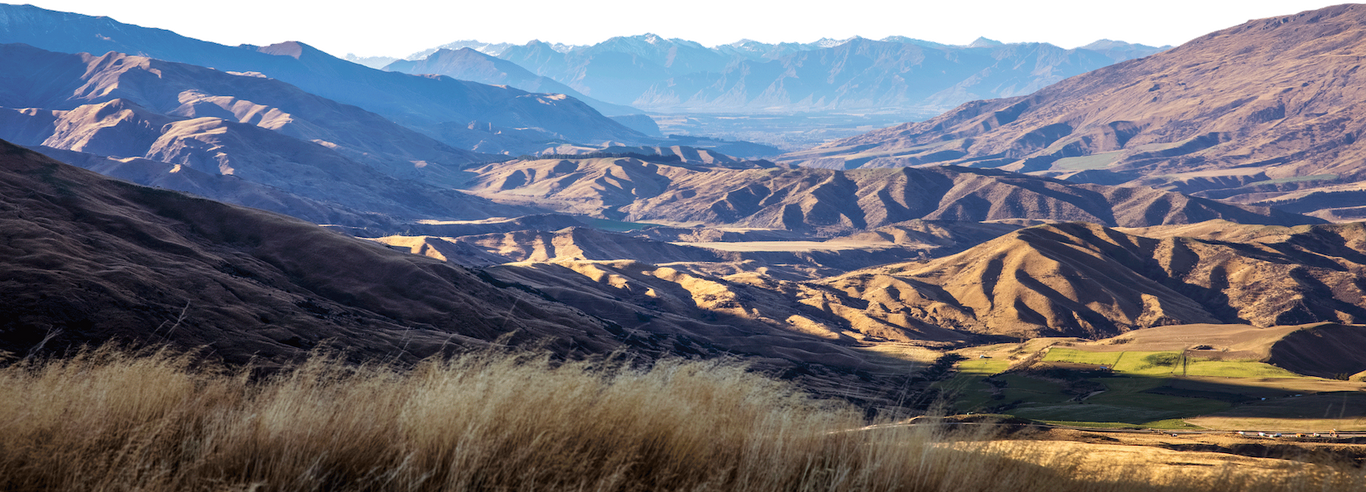 The Cardrona – Cardrona Distillery